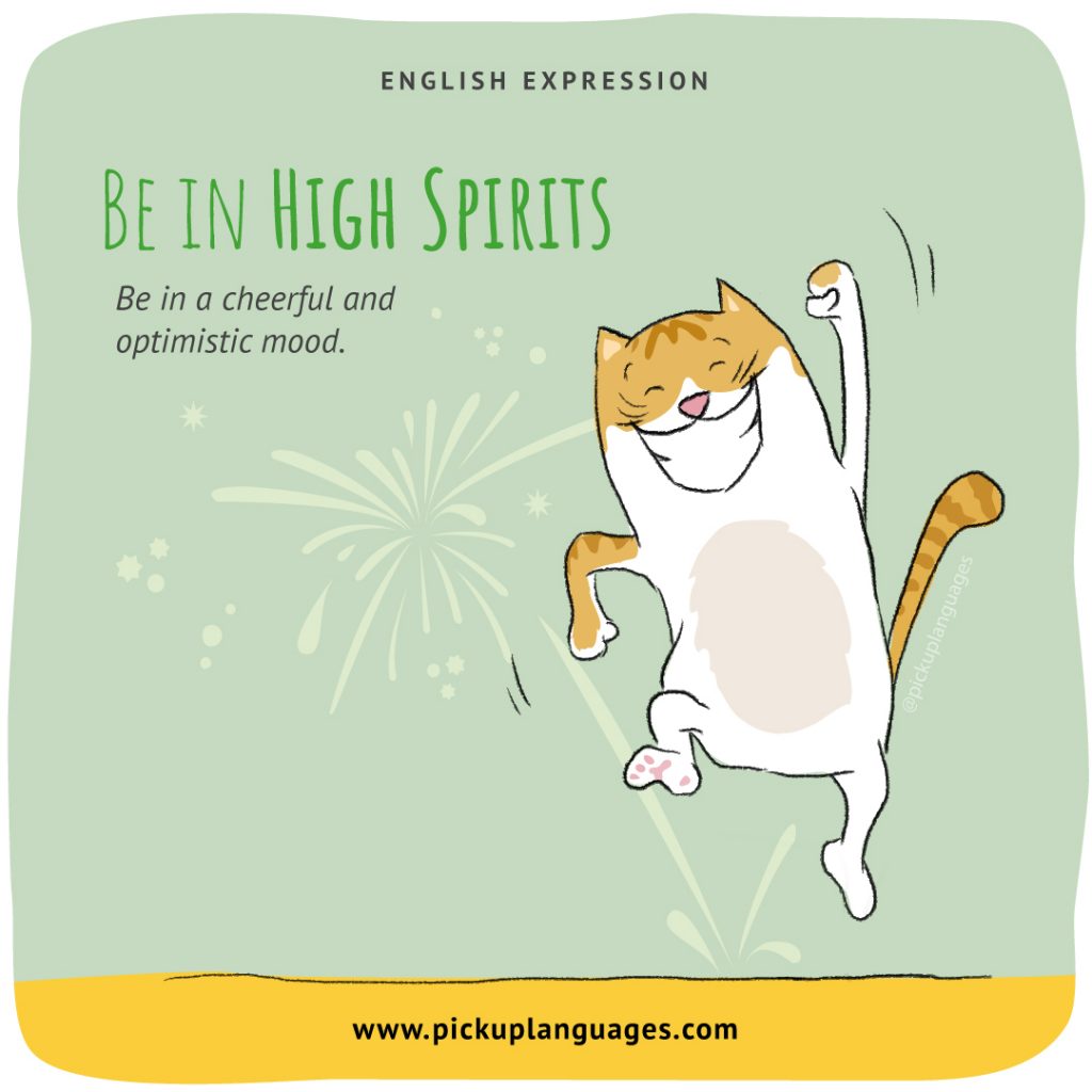 To Be in High Spirits - Pick Up Languages
